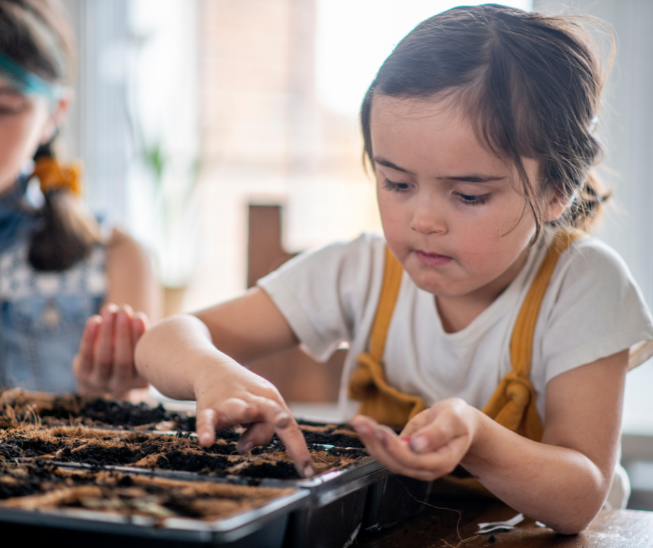 Why Structure Works at Hidden Bee Learning