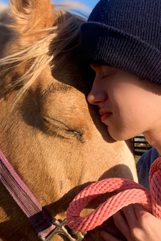 Hidden Bee Farm / Hidden Bee Learning – Growing Minds, One Adventure at ...