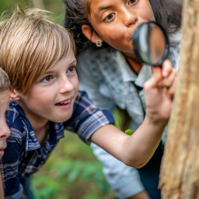 Hidden Bee Learning | Preschool, Kindergarten & Enrichment Programs for ...